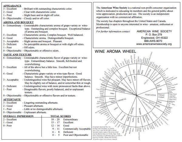 Wine Judging Made Simple – Grape Occasions