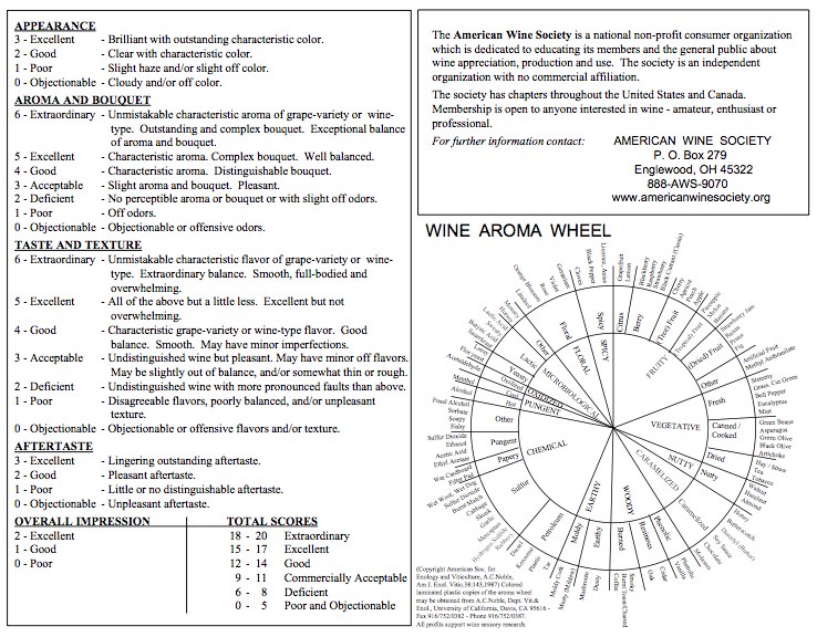 Wine Judging Made Simple – Grape Occasions