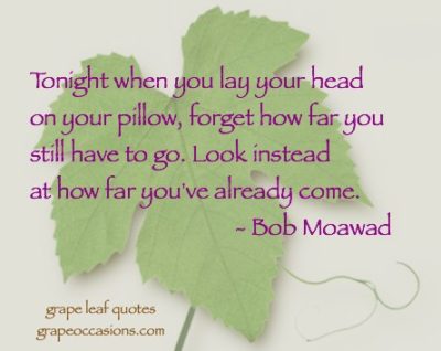Grape Leaf Quotes – Grape Occasions